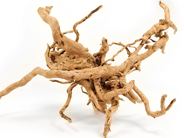 Aquascaping Hardscape - Wood / Roots | GARNELENHAUS