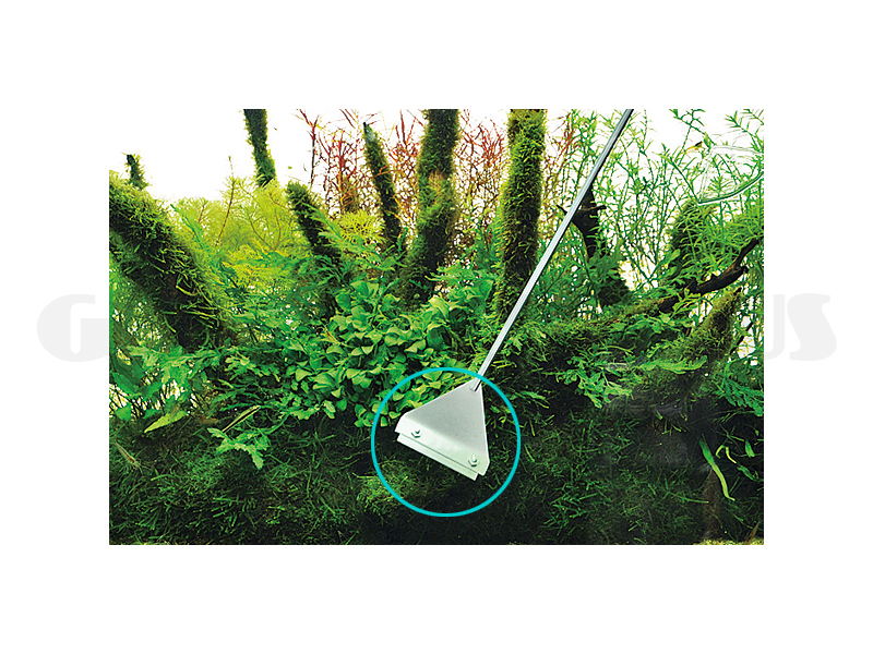 ADA - PRO Razor Blade, spare blades, 2 pcs. | GARNELENHAUS