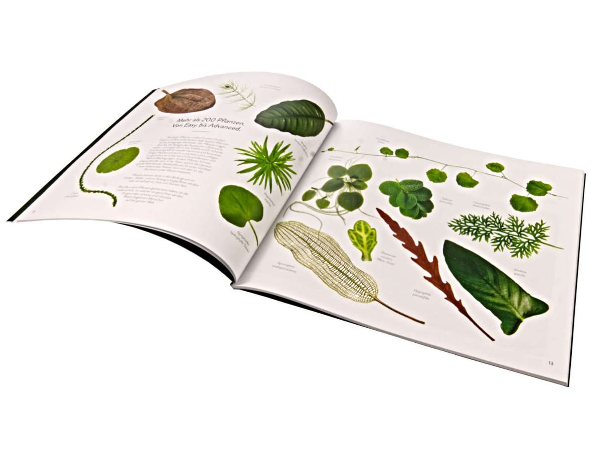 Tropica Book - 50 Years under the Surface | GARNELENHAUS