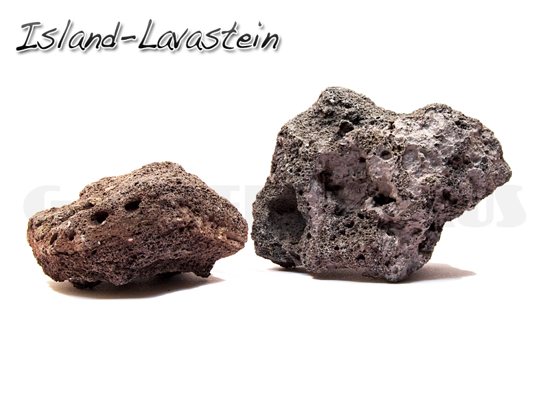 Iceland lava rock, 1 kg | GARNELENHAUS